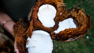 Coco: propiedades y beneficios de esta fruta tropical - Viviendo La Salud