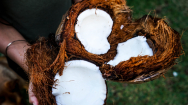 Coco: propiedades y beneficios de esta fruta tropical - Viviendo La Salud