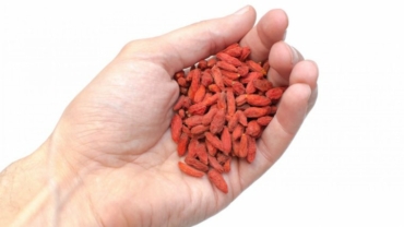 Bayas de Goji: propiedades, beneficios y precauciones - Viviendo La Salud
