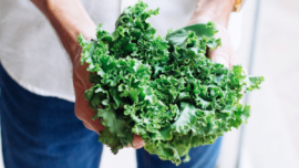 10 tipos de lechuga y sus propiedades nutricionales - Viviendo La Salud