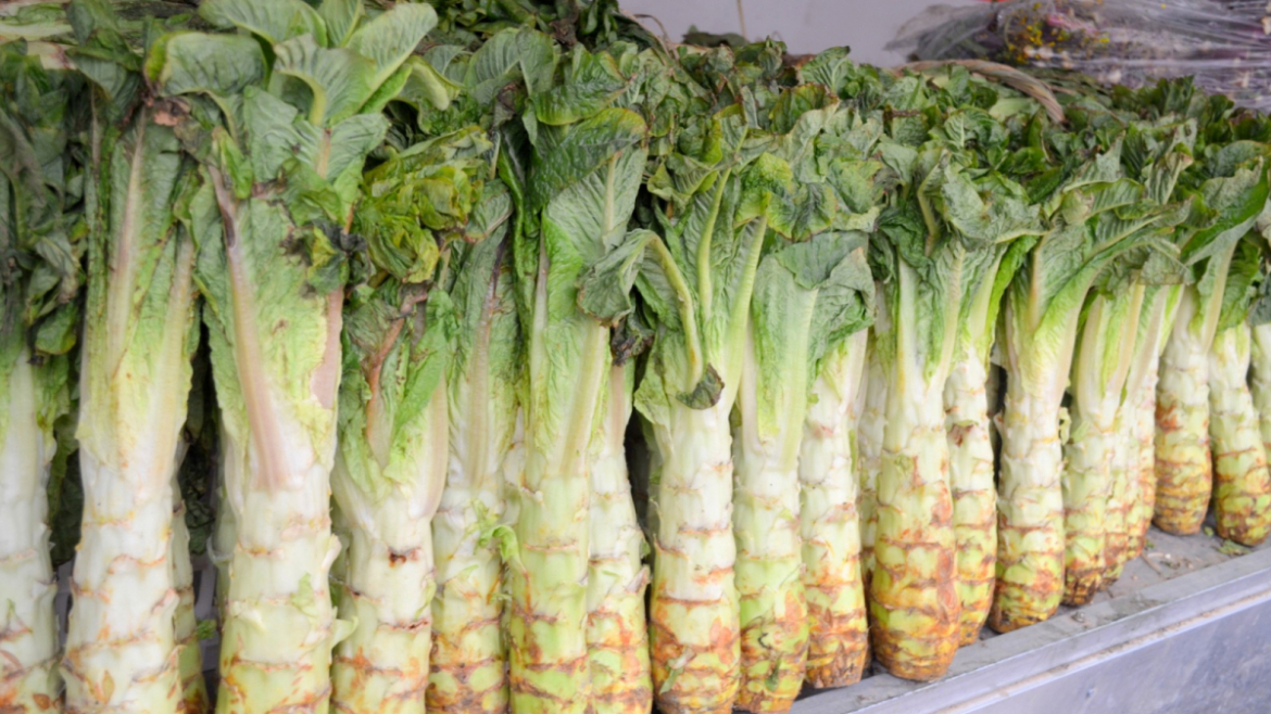 10 tipos de lechuga y sus propiedades nutricionales - Viviendo La Salud