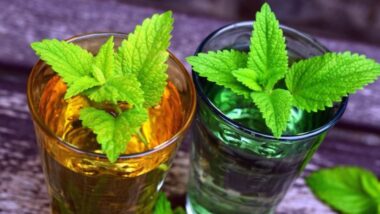 Menta: qué es, propiedades y para qué sirve esta planta - Viviendo La Salud