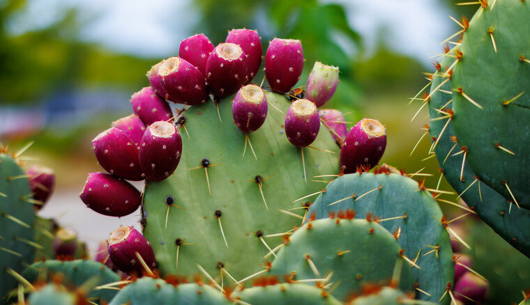 Sangre en las heces (rectorragia): qué es, causas y síntomas asociados ...